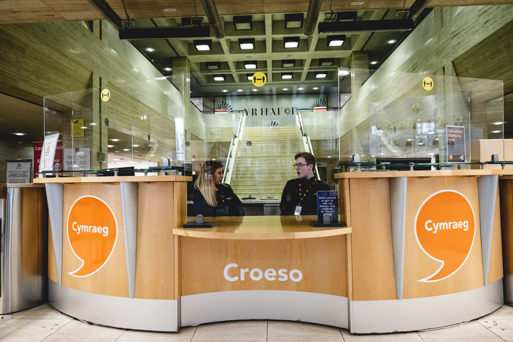 Equality: Fair work, Welsh language rights in the workplace and Welsh ...