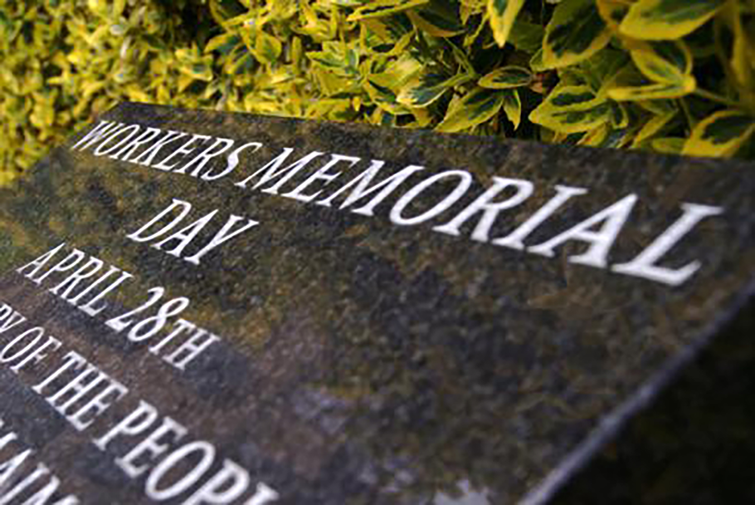 Webinar: International Workers' Memorial Day 2020 | TUC